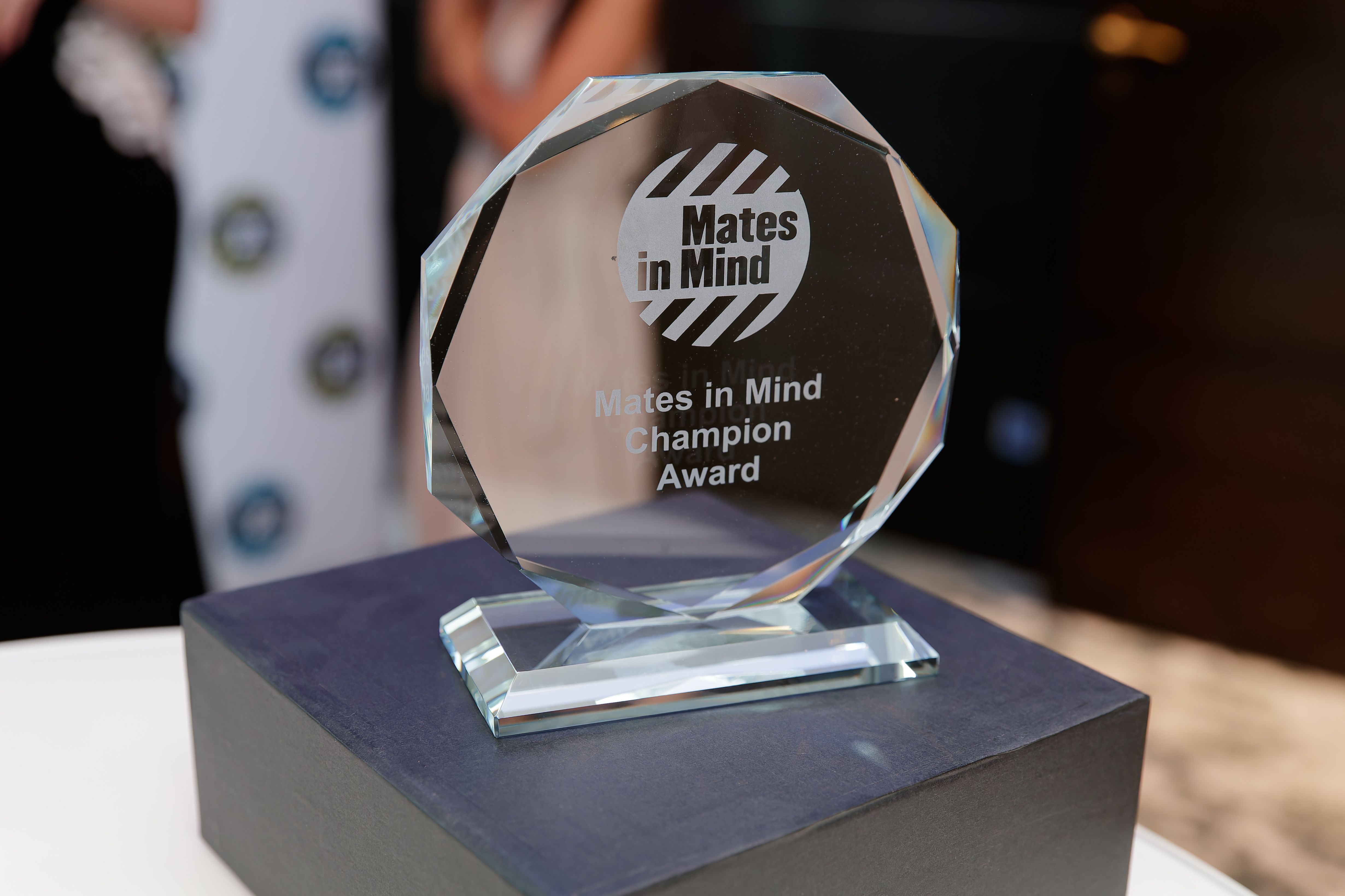 Mates in Mind Impact Awards recognise positive mental health in and ...